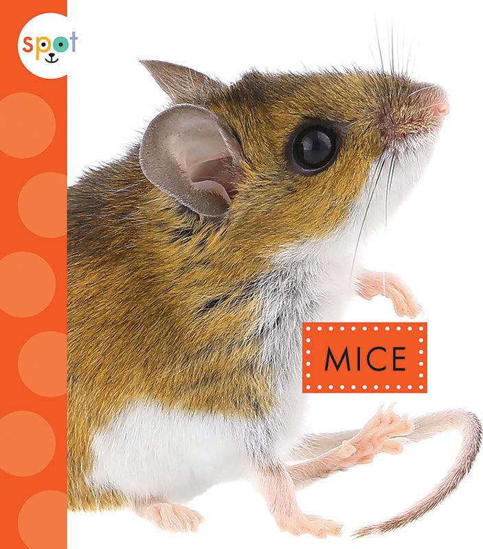 Mice – The Creative Company Shop