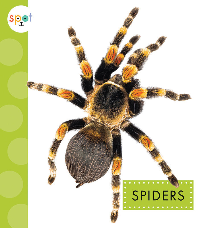 Spiders – The Creative Company Shop