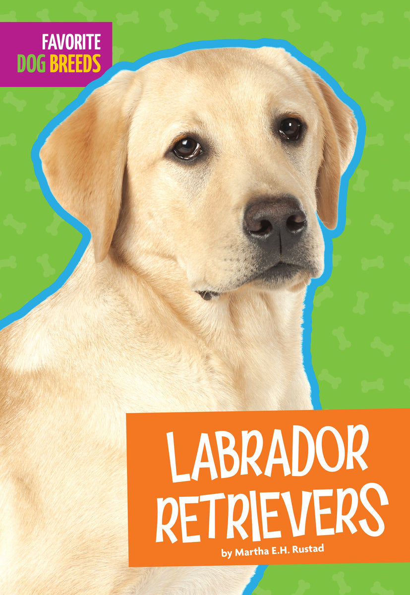 Labrador Retrievers – The Creative Company