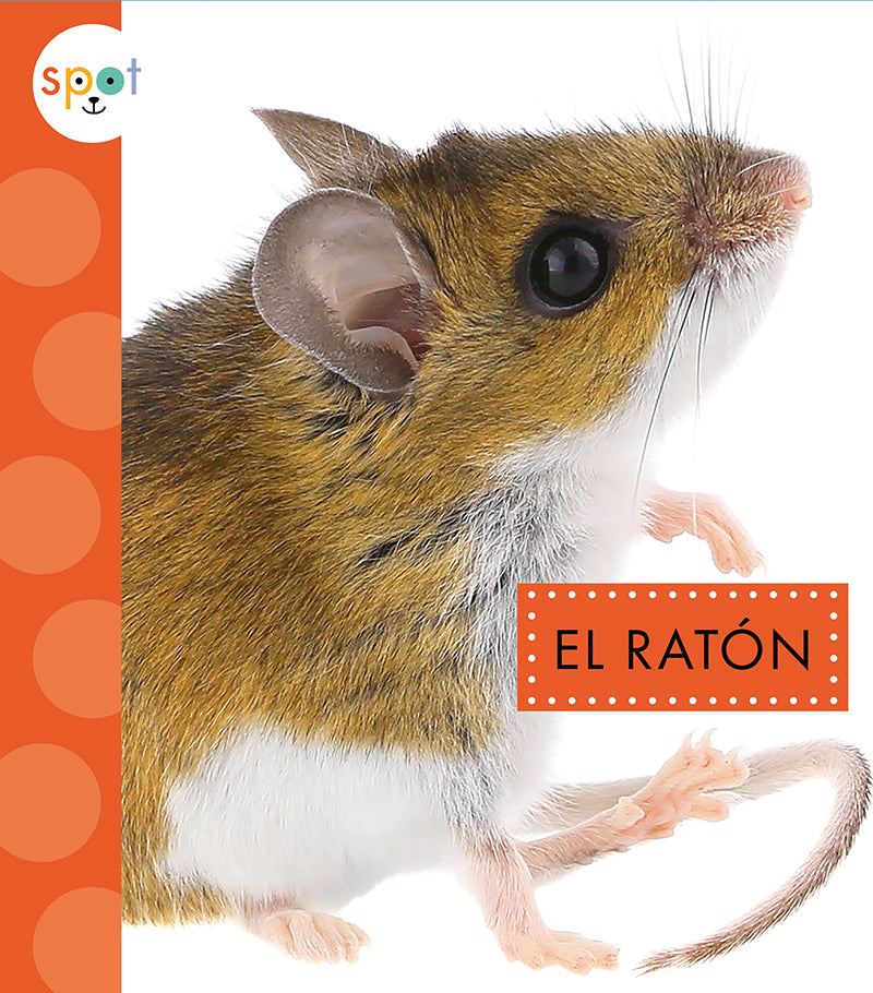 El ratón – The Creative Company