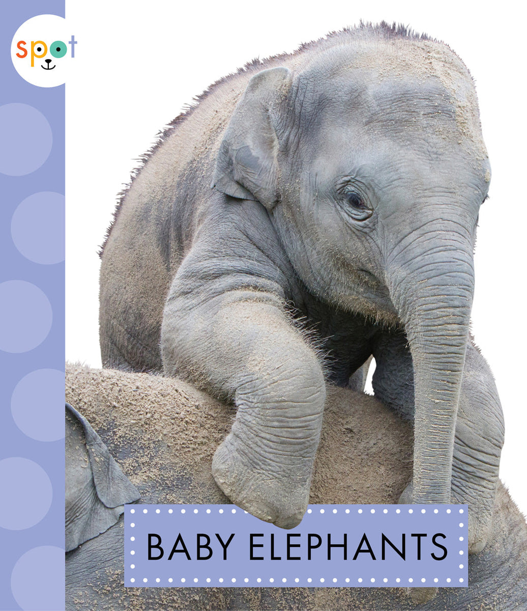 Baby Elephants – The Creative Company
