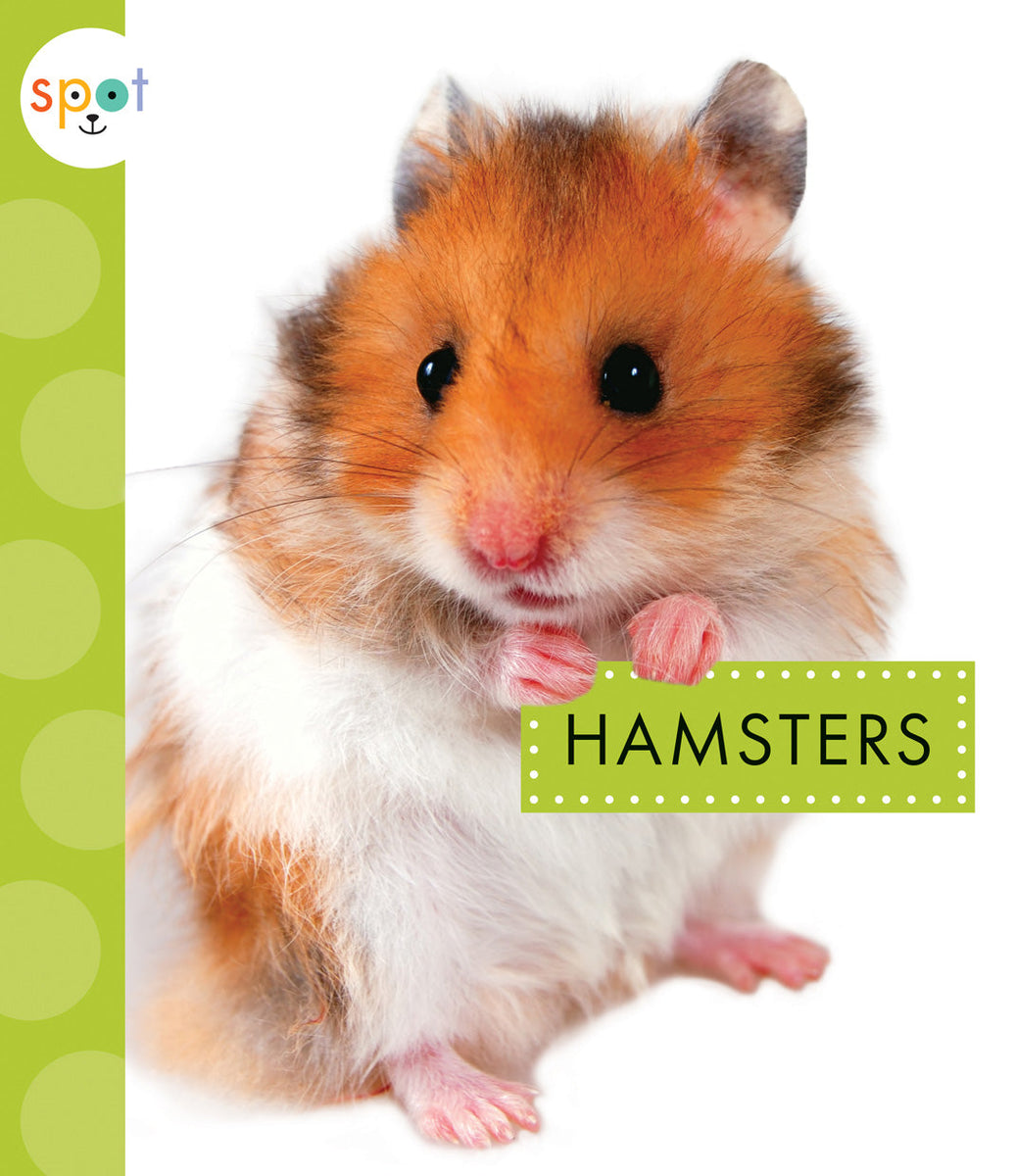 Hamsters – The Creative Company