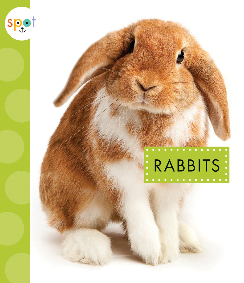 Rabbits – The Creative Company