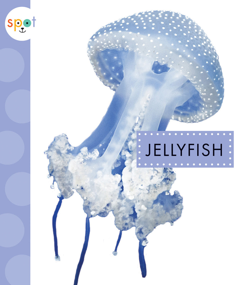 Jellyfish – The Creative Company
