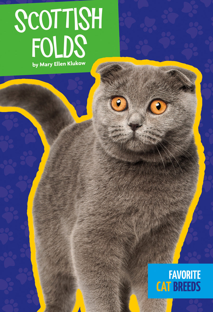 Scottish Folds – The Creative Company