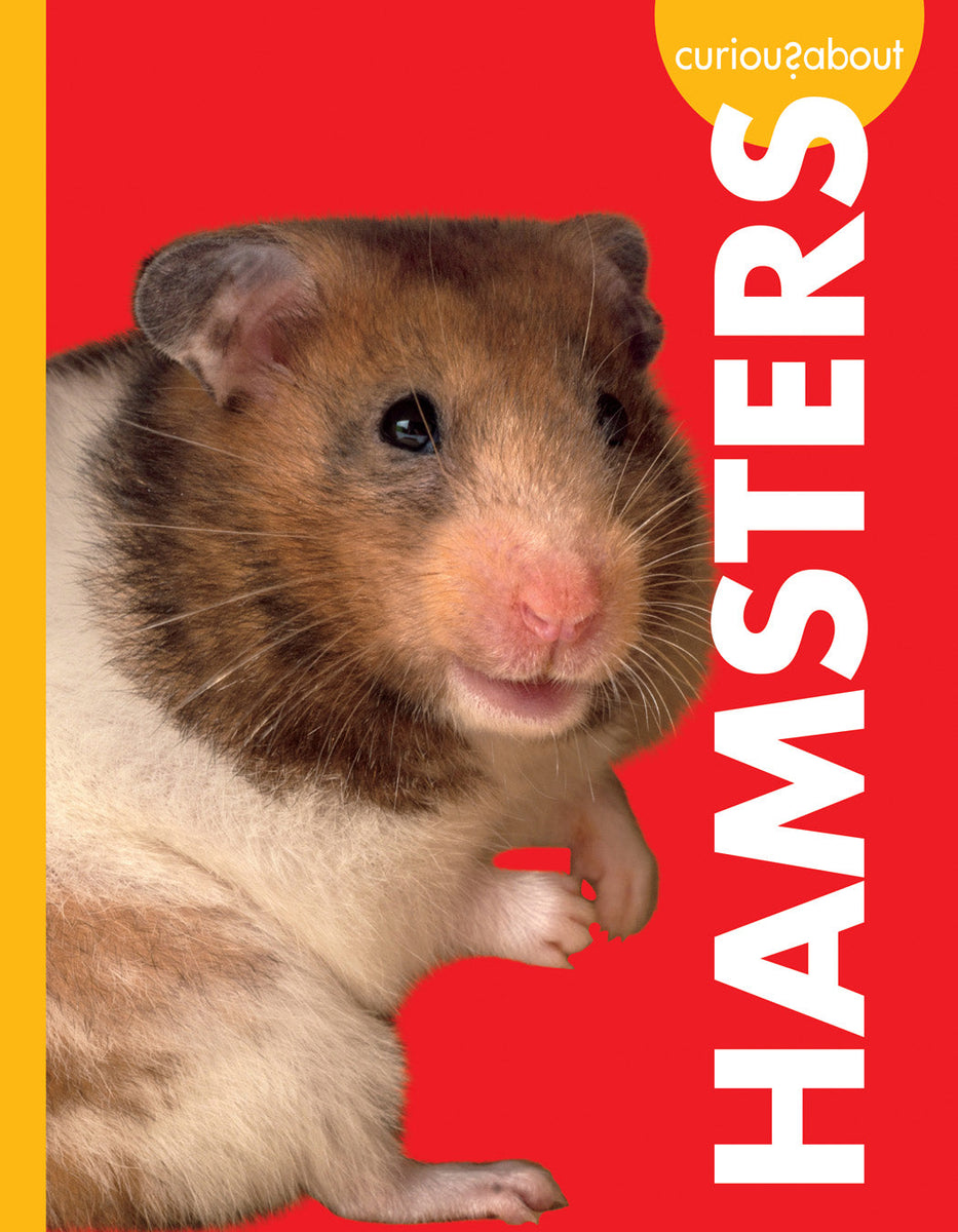 Curious about Hamsters – The Creative Company