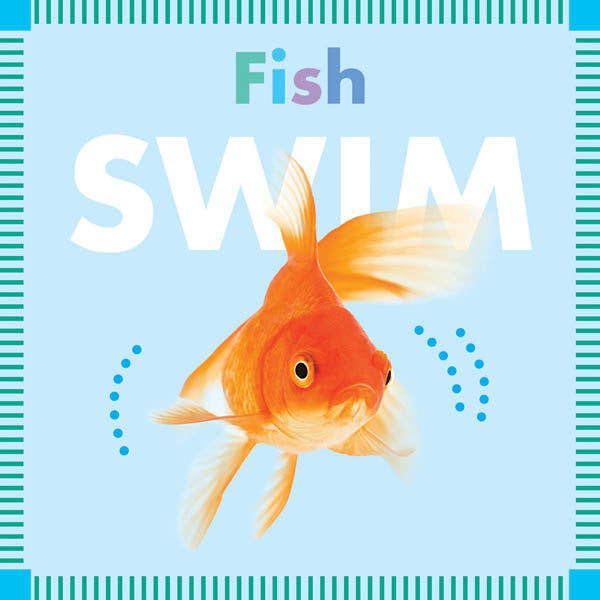 Fish Swim – The Creative Company