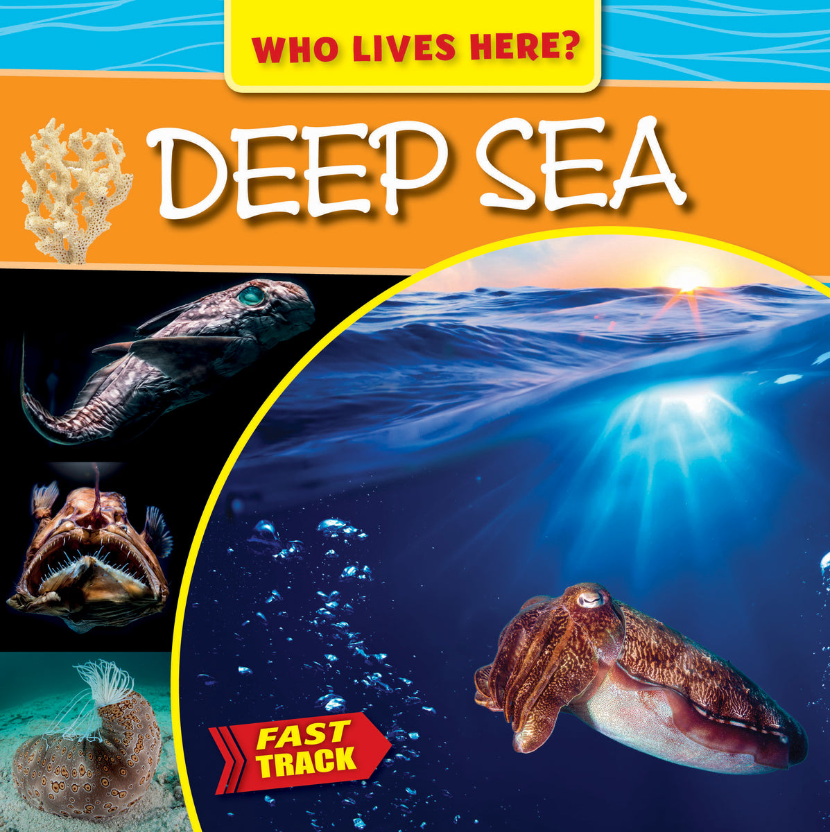 Deep Sea – The Creative Company Shop