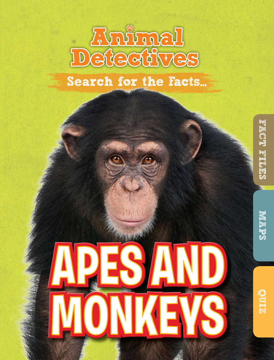 Apes & Monkeys – The Creative Company