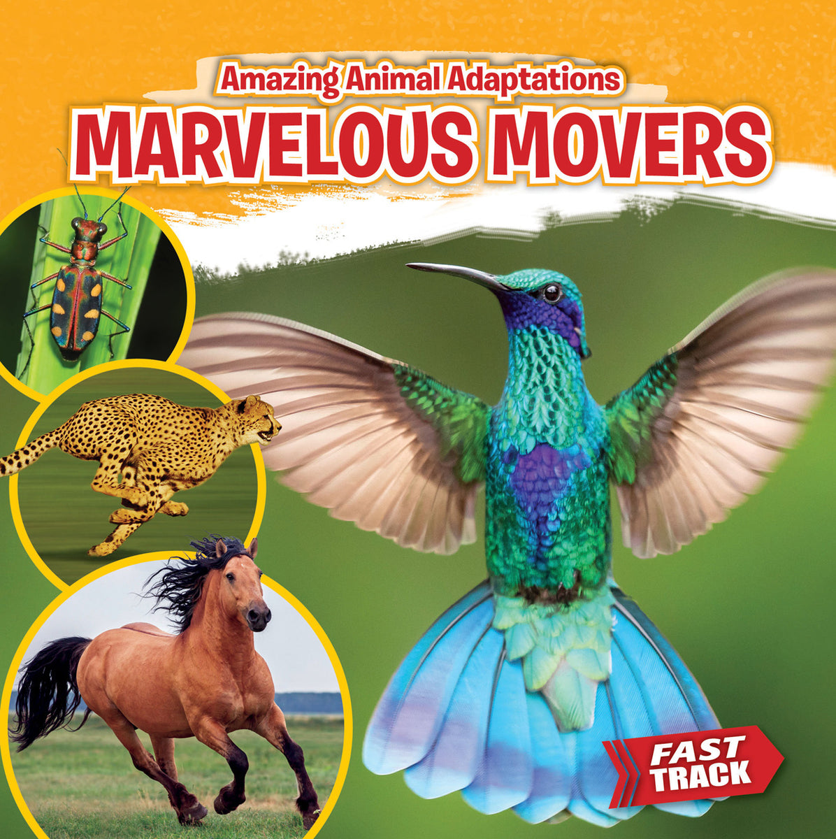 Marvelous Movers – The Creative Company Shop