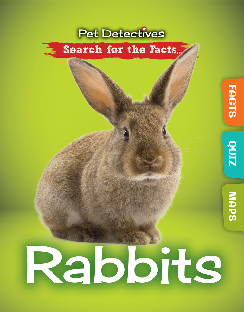 Rabbits – The Creative Company