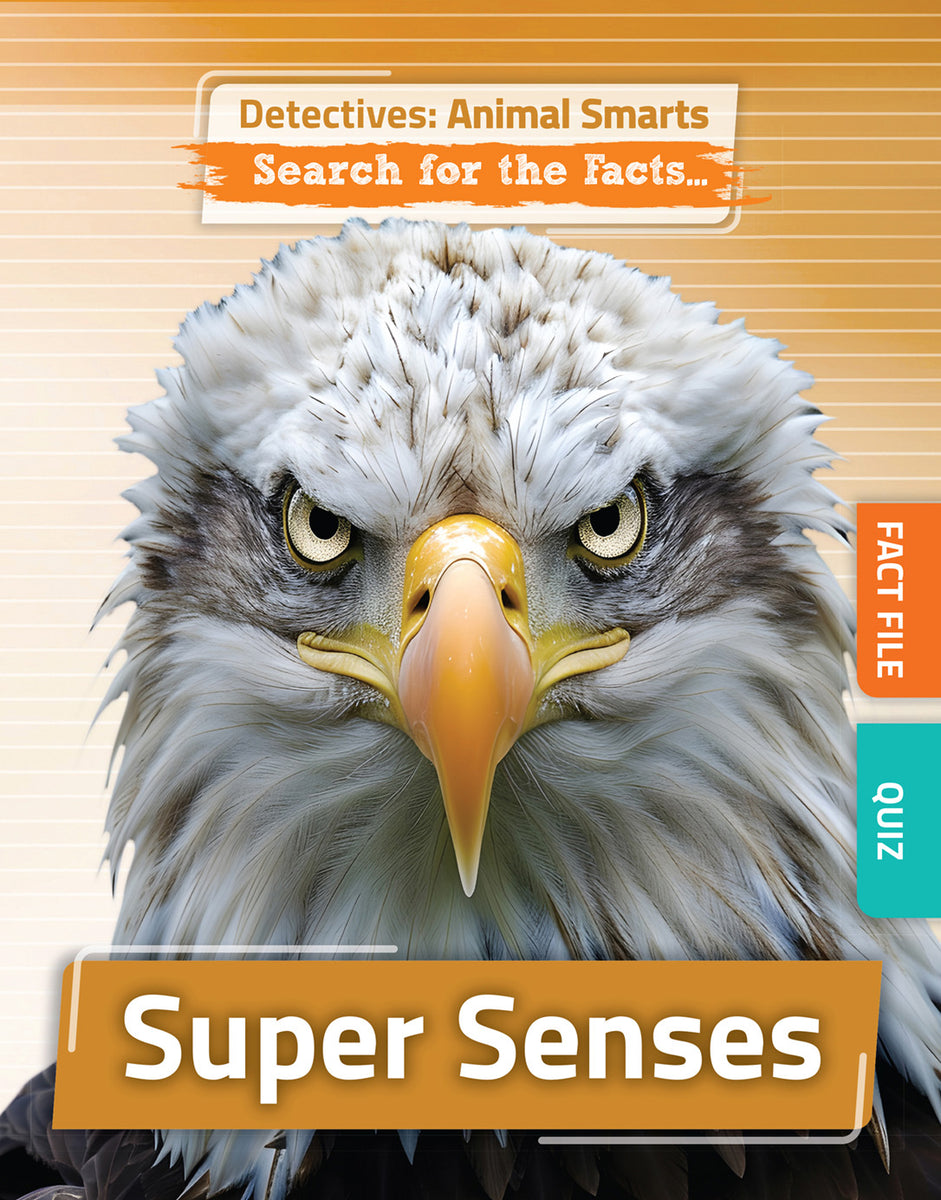 Super Senses – The Creative Company