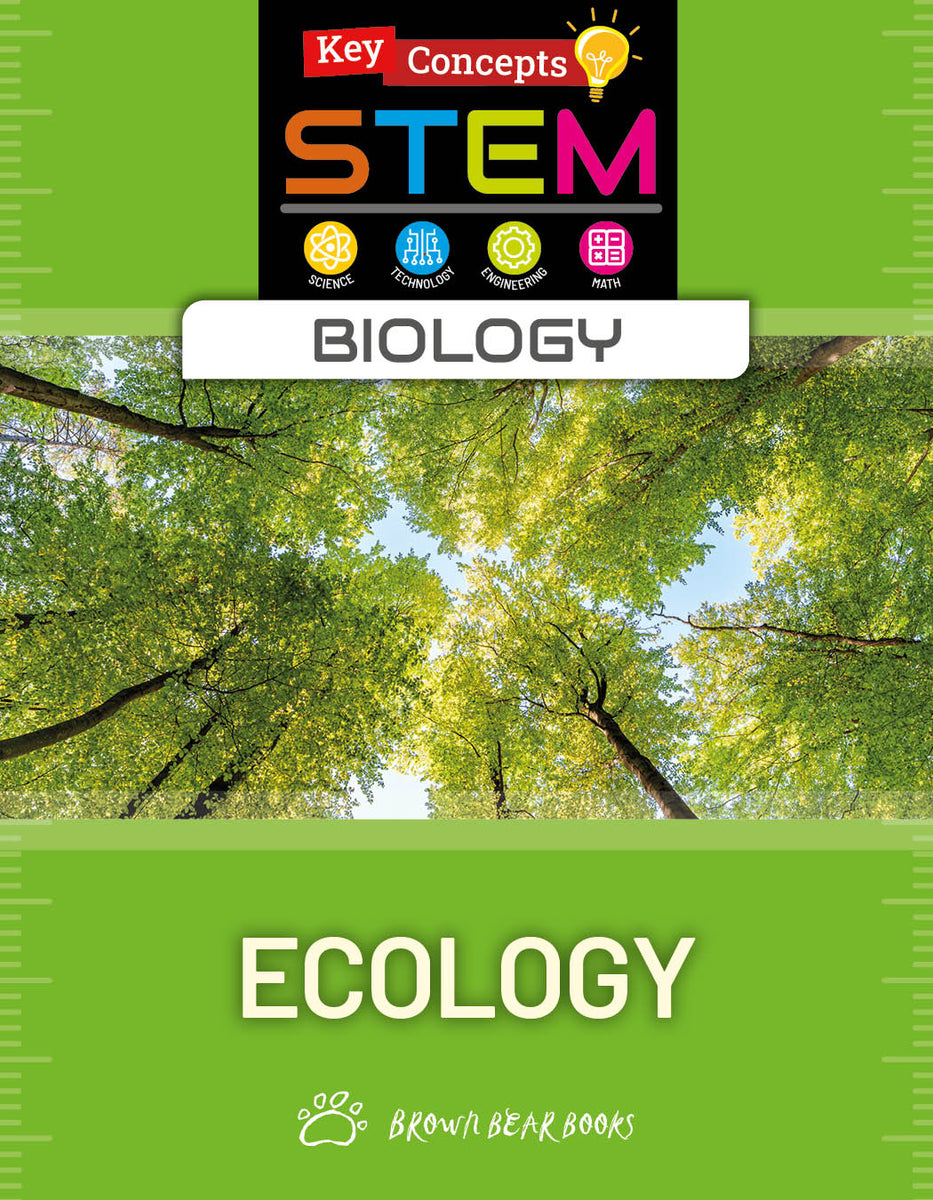 Ecology – The Creative Company