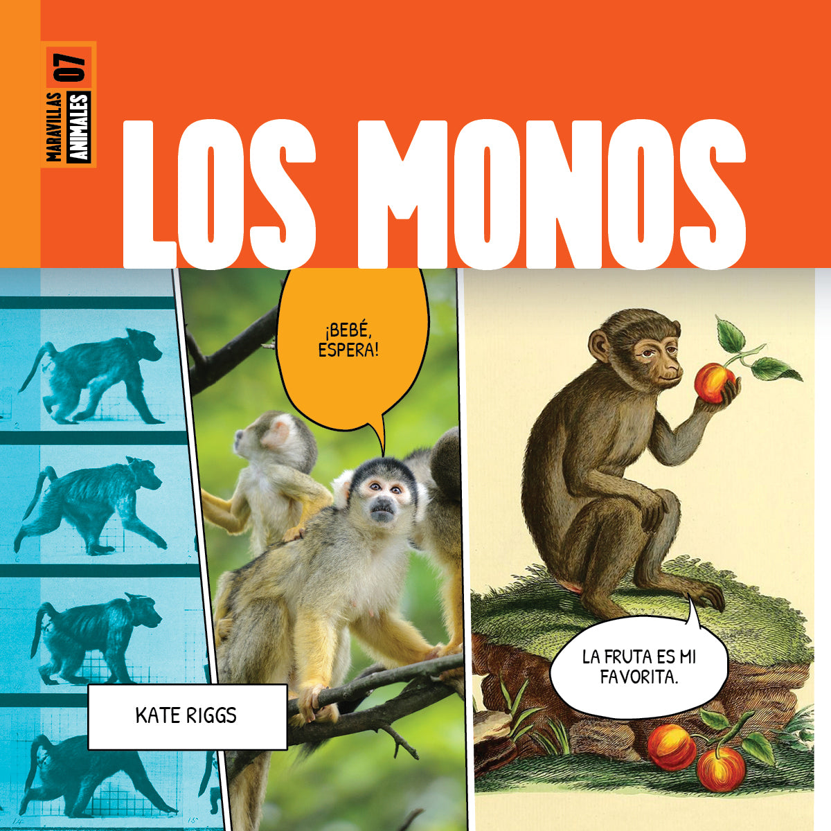 Los monos – The Creative Company