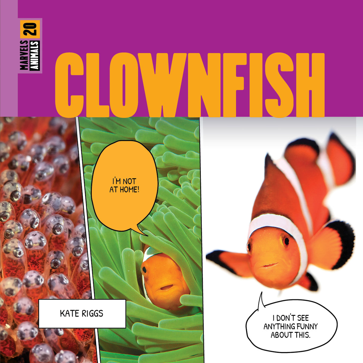 Clownfish – The Creative Company