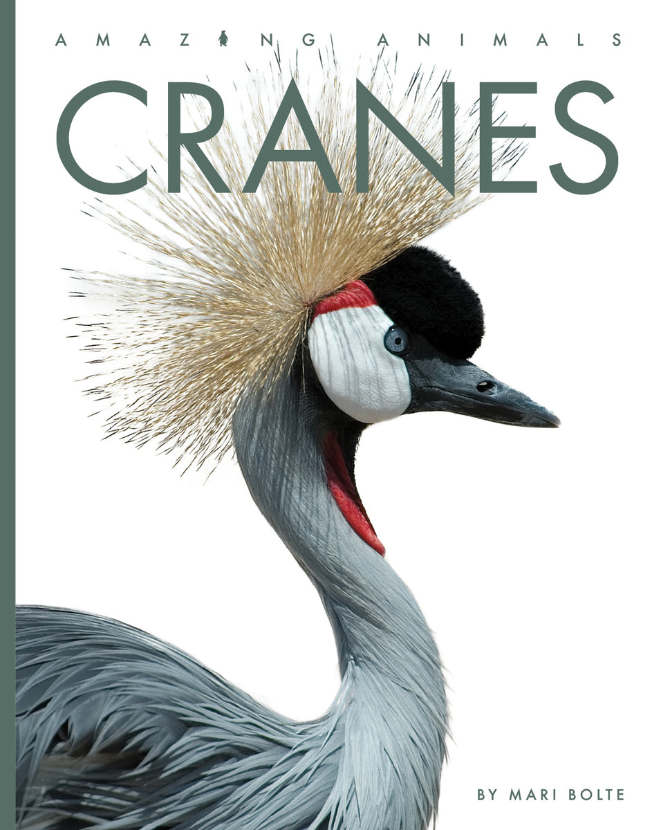 Cranes – The Creative Company