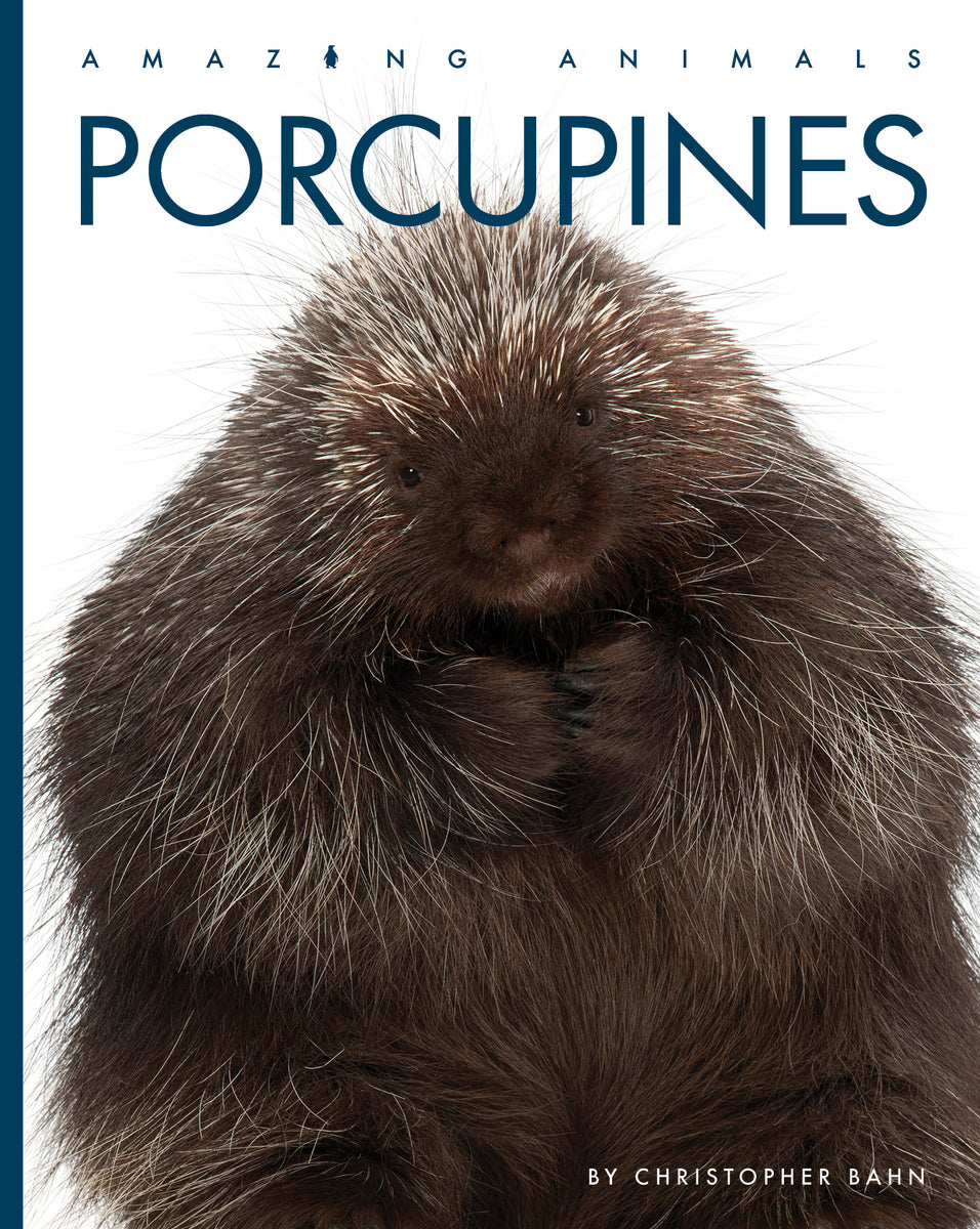 Porcupines – The Creative Company