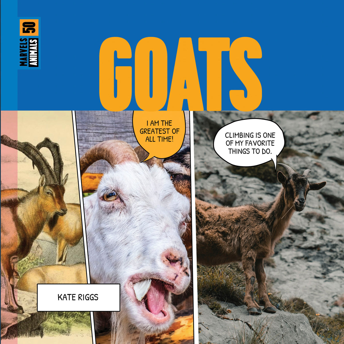 Goats – The Creative Company