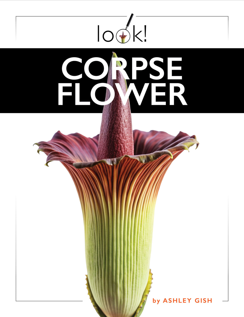 Corpse Flower – The Creative Company