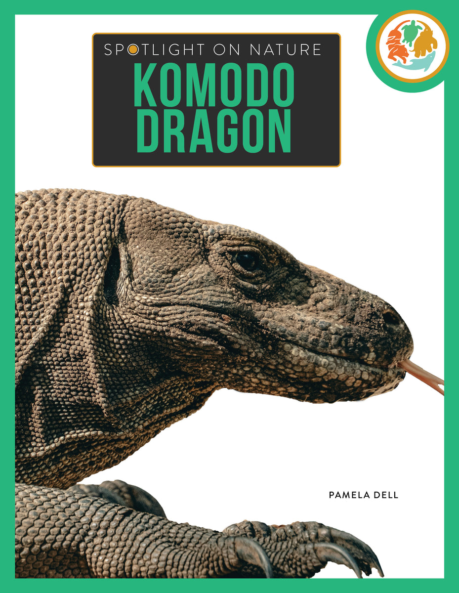 Komodo Dragon – The Creative Company