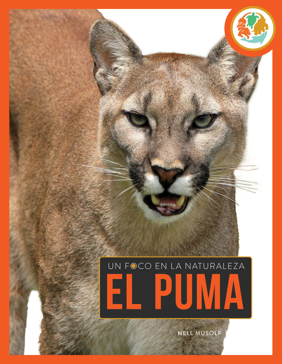 El puma – The Creative Company