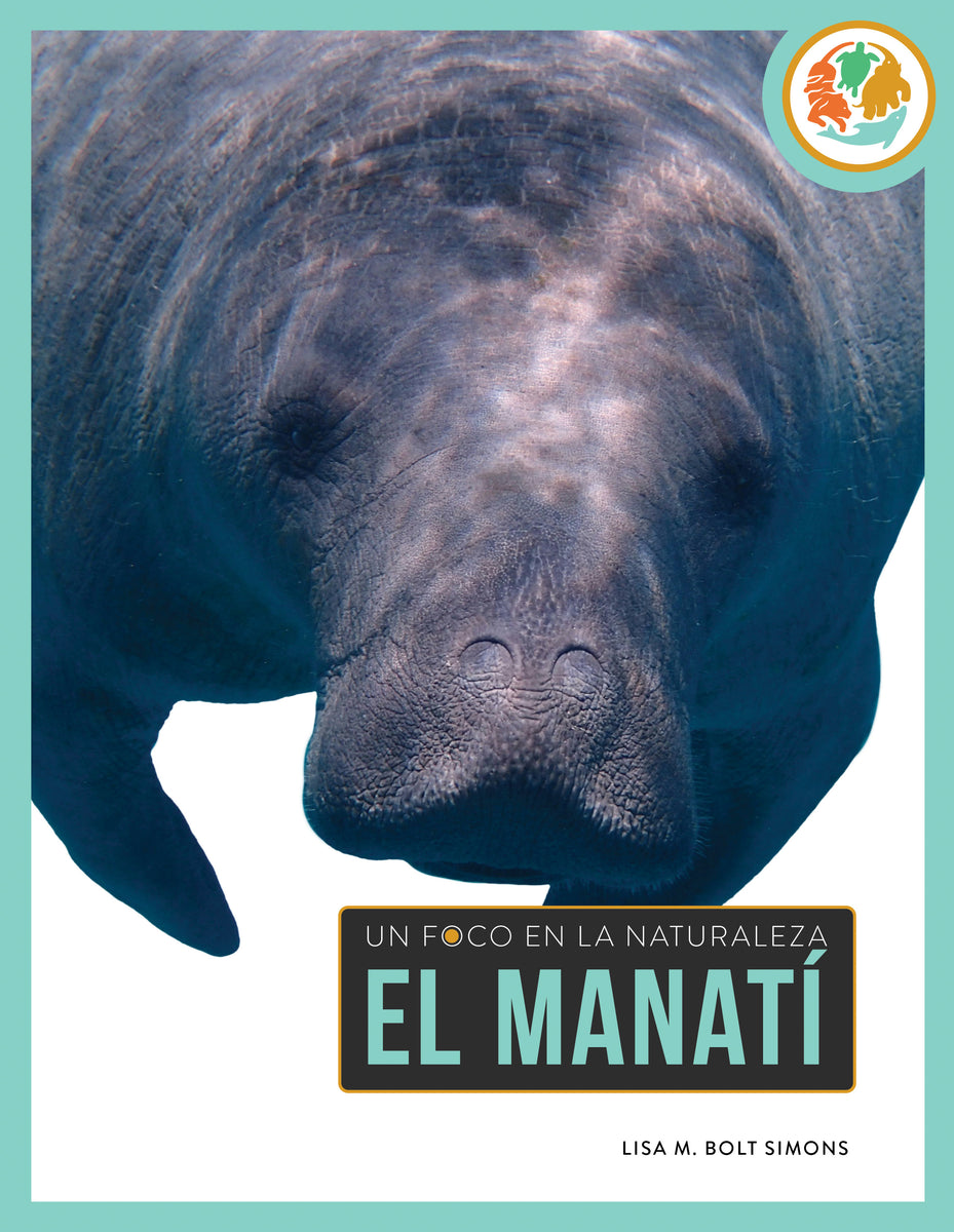 El manatí – The Creative Company