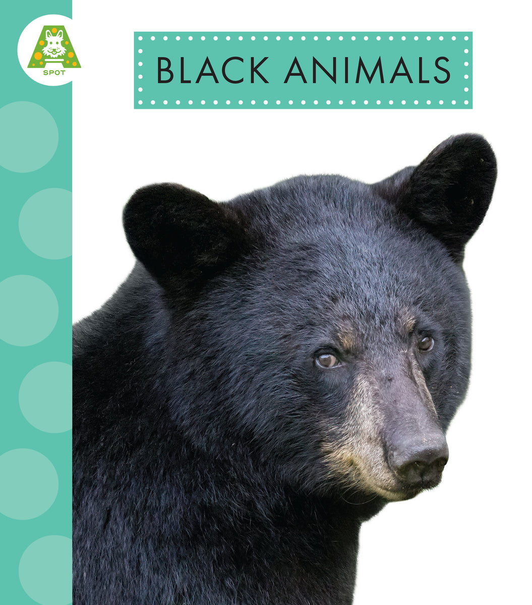 Black Animals - Spot Animal Colors - Amicus Publishing - 9798892000673 ...
