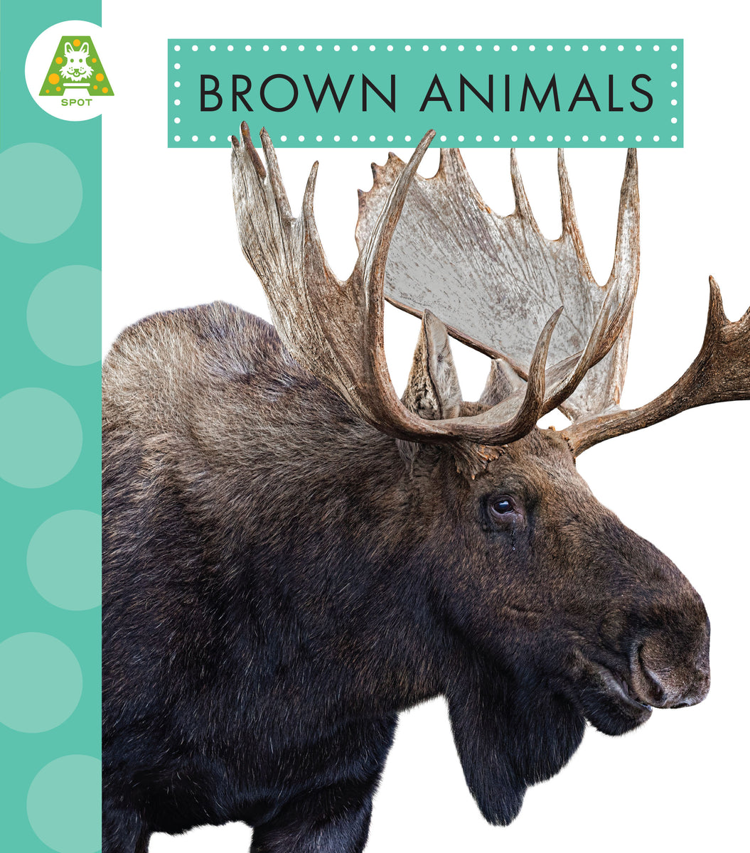 Brown Animals - Spot Animal Colors - Amicus Publishing - 9798892000697 ...