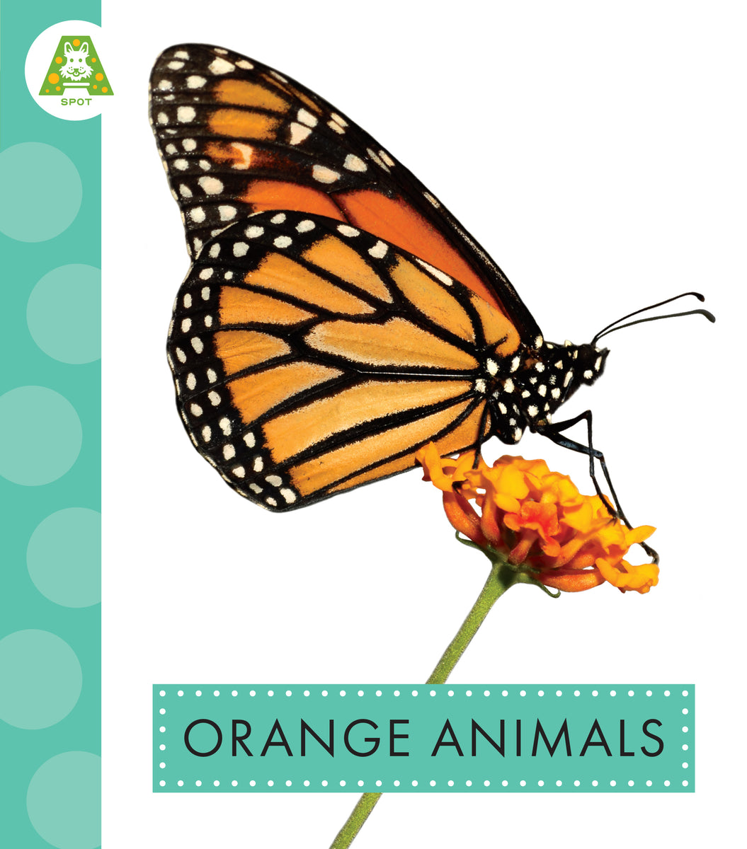 Orange Animals – The Creative Company