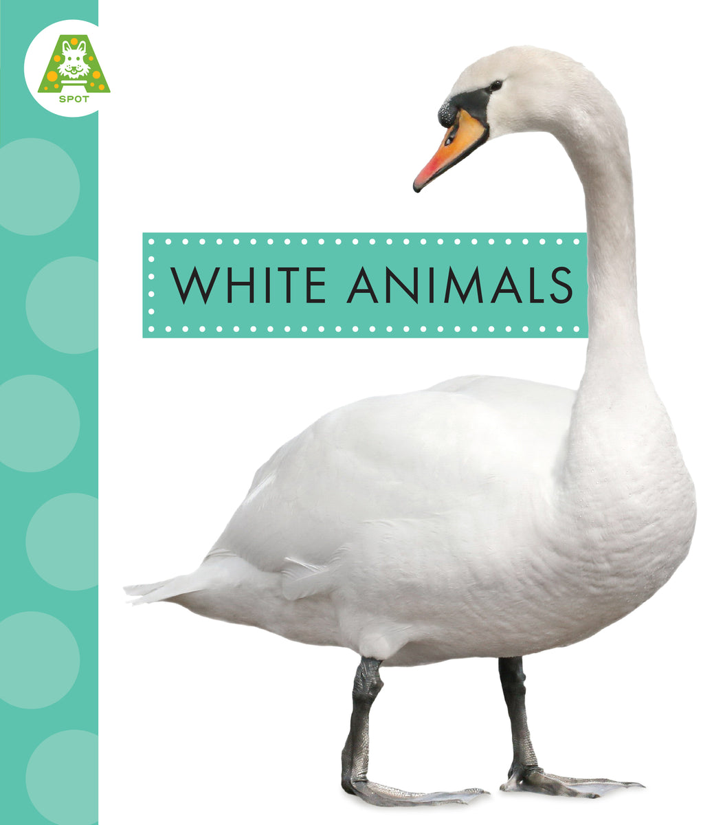 White Animals - Spot Animal Colors - Amicus Publishing - 9798892000758 ...