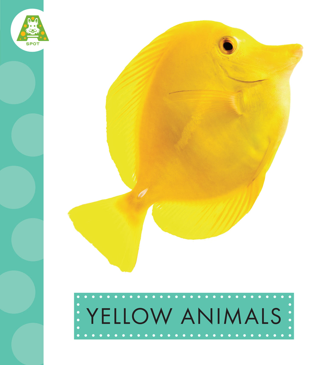 Yellow Animals – The Creative Company
