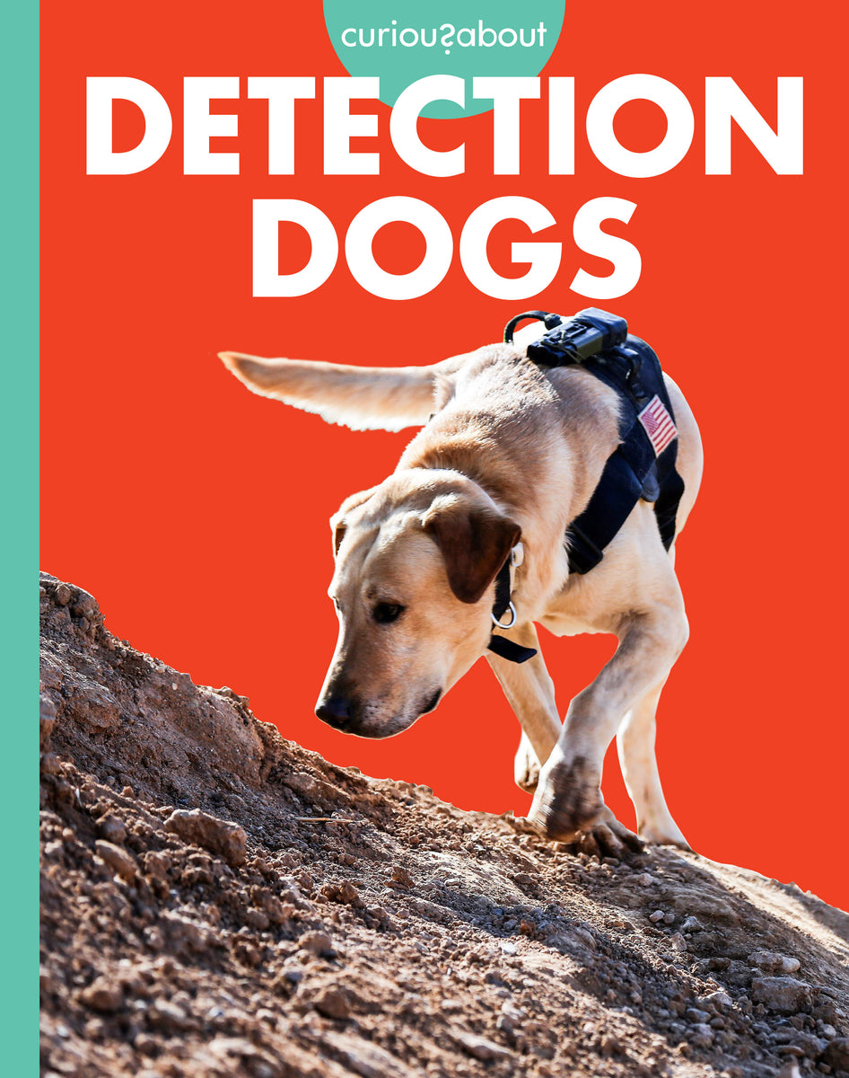 Curious about Detection Dogs – The Creative Company