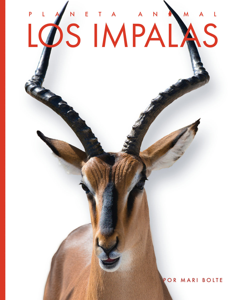 Los impalas – The Creative Company
