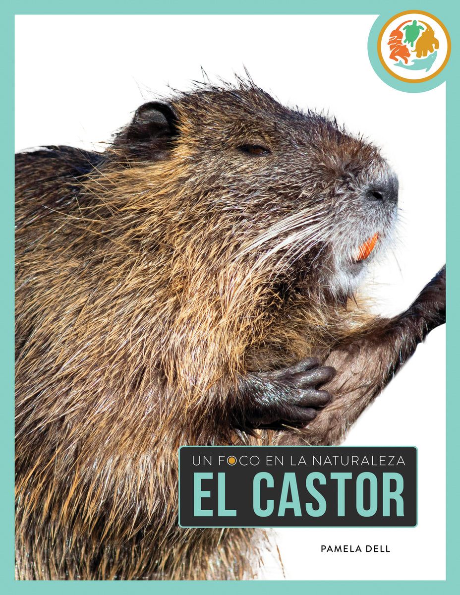 El castor – The Creative Company