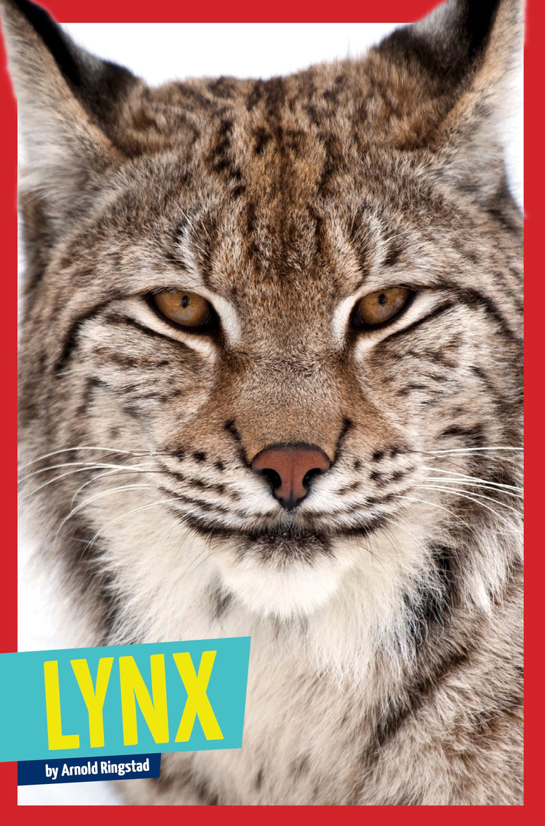 Lynx – The Creative Company Shop