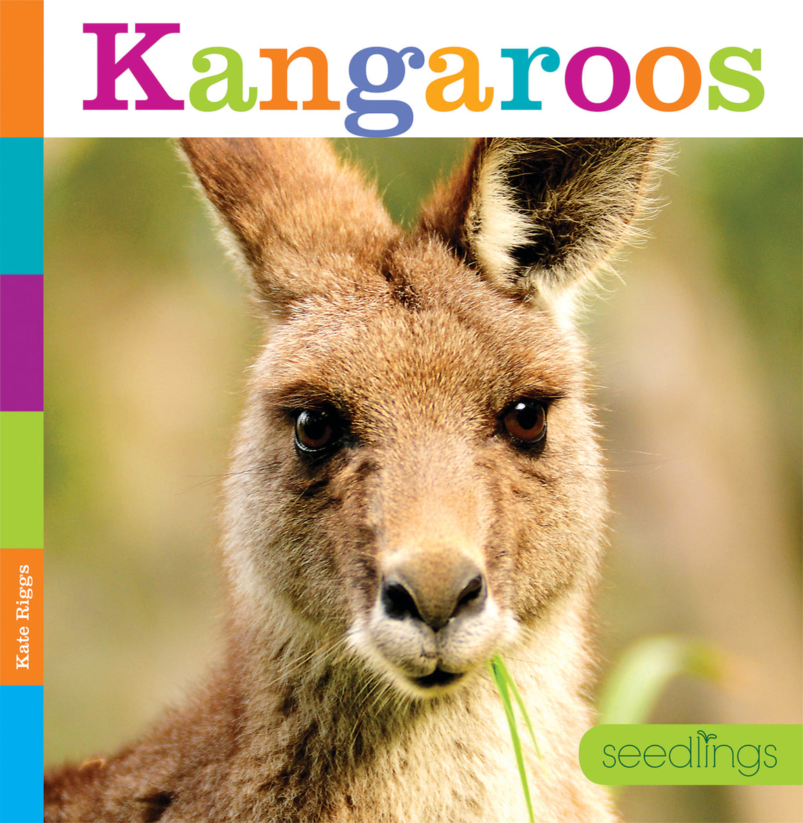 Kangaroos – The Creative Company