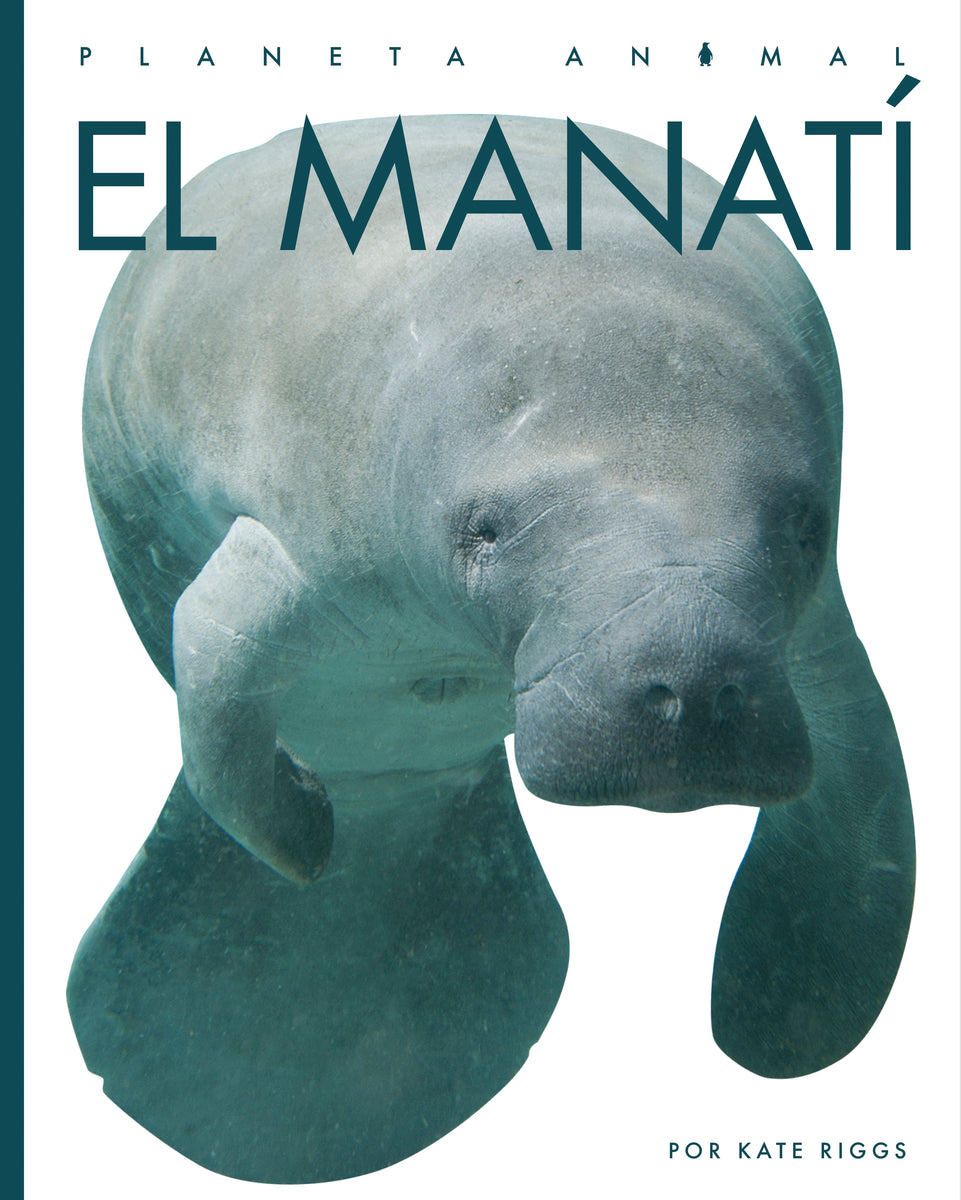 El manatí – The Creative Company Shop