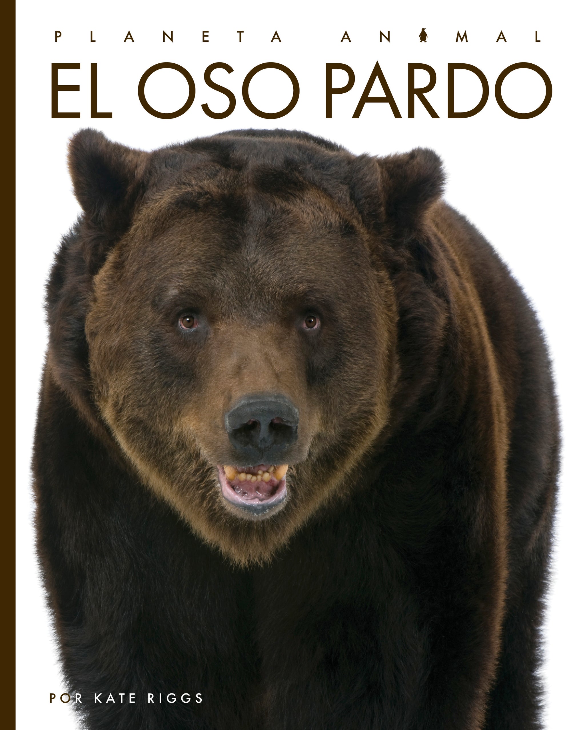 Libro Imprimible Del Oso Pardo
